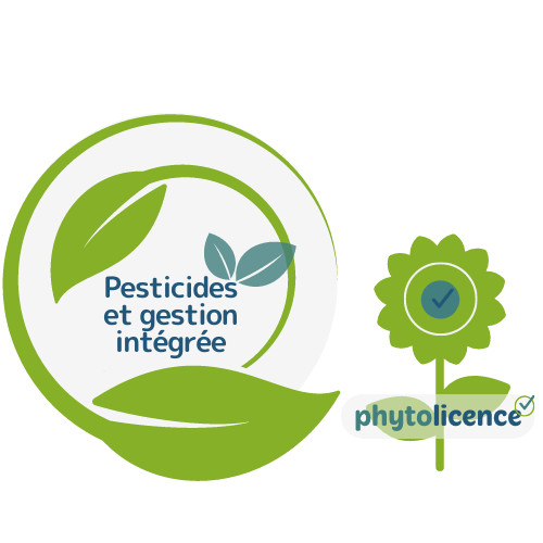 Nature Academy: Tous les cours